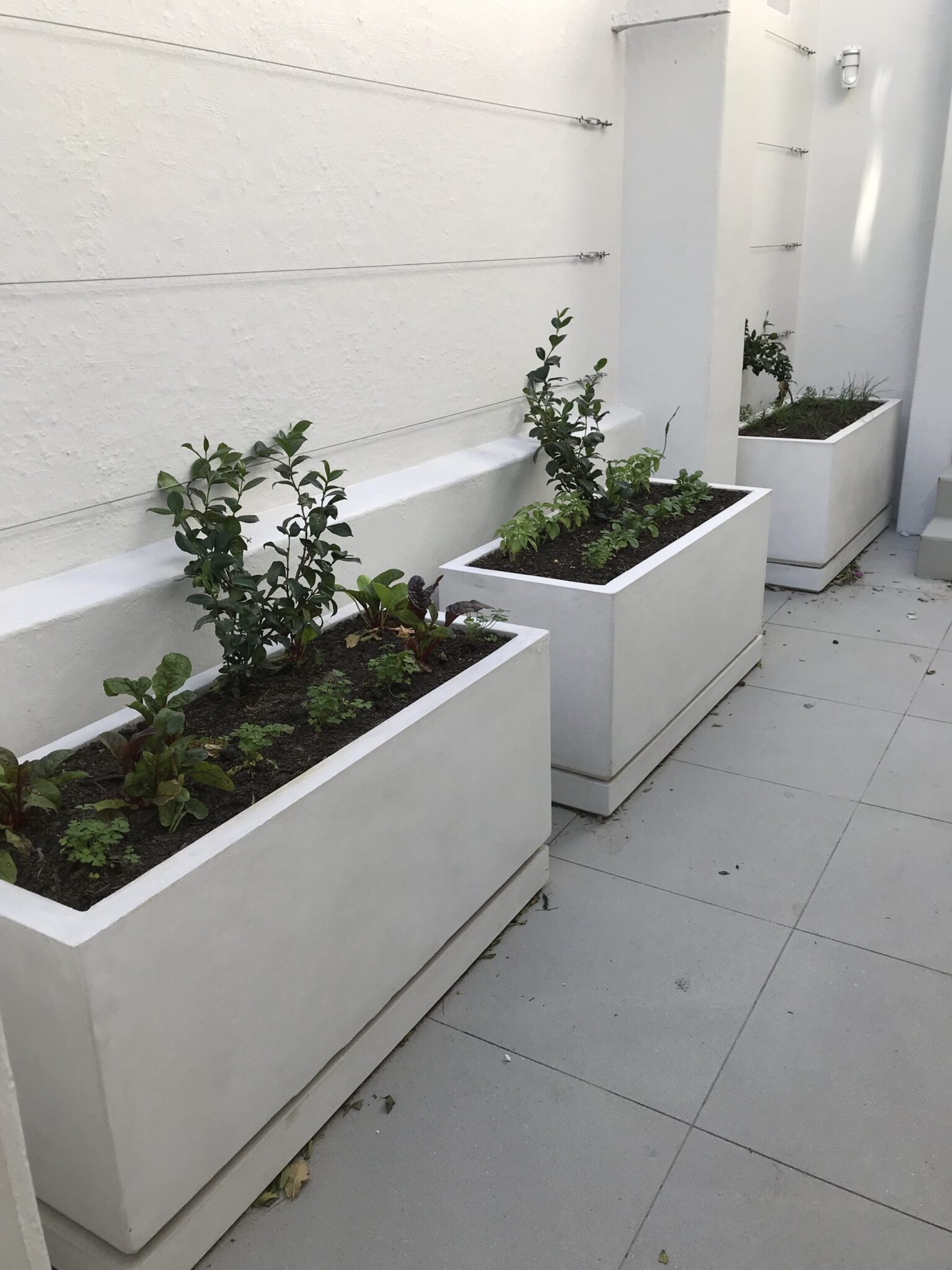 Ocean Trough Planter | Stonecast
